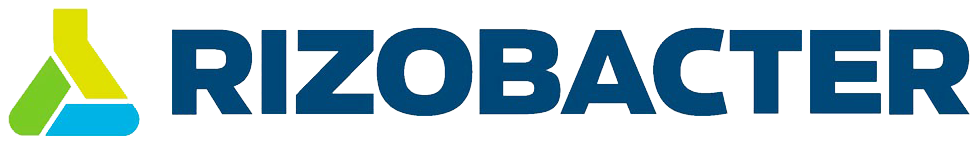 AutoRenovA | Quienes Somos